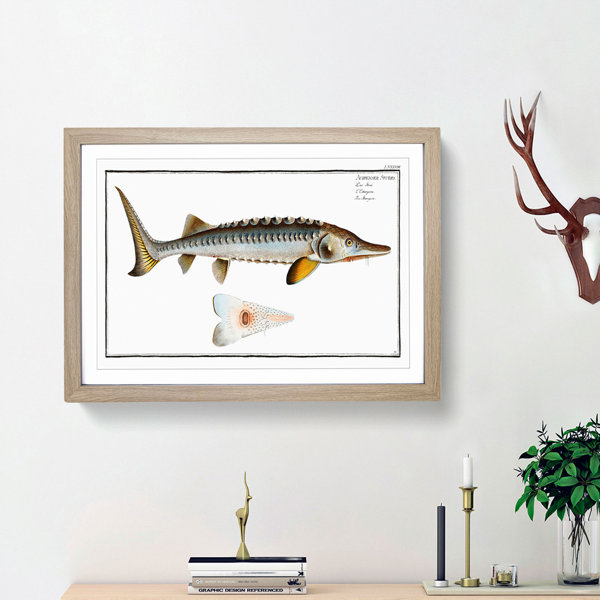 East Urban Home Sturgeon Fish by M.E. Bloch - Picture Frame Painting ...